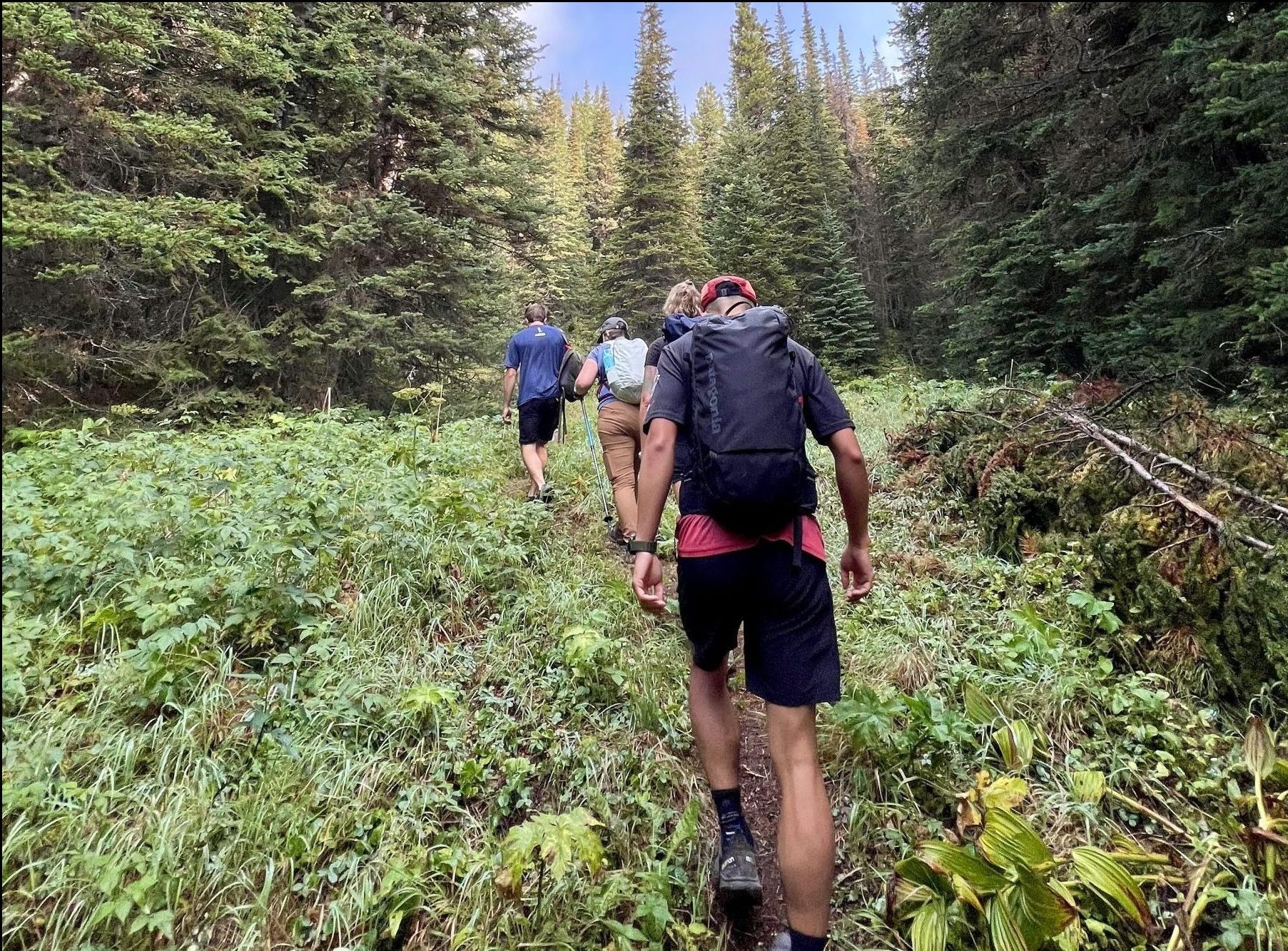 Mt. Terry Fox Trek - The Terry Fox Foundation